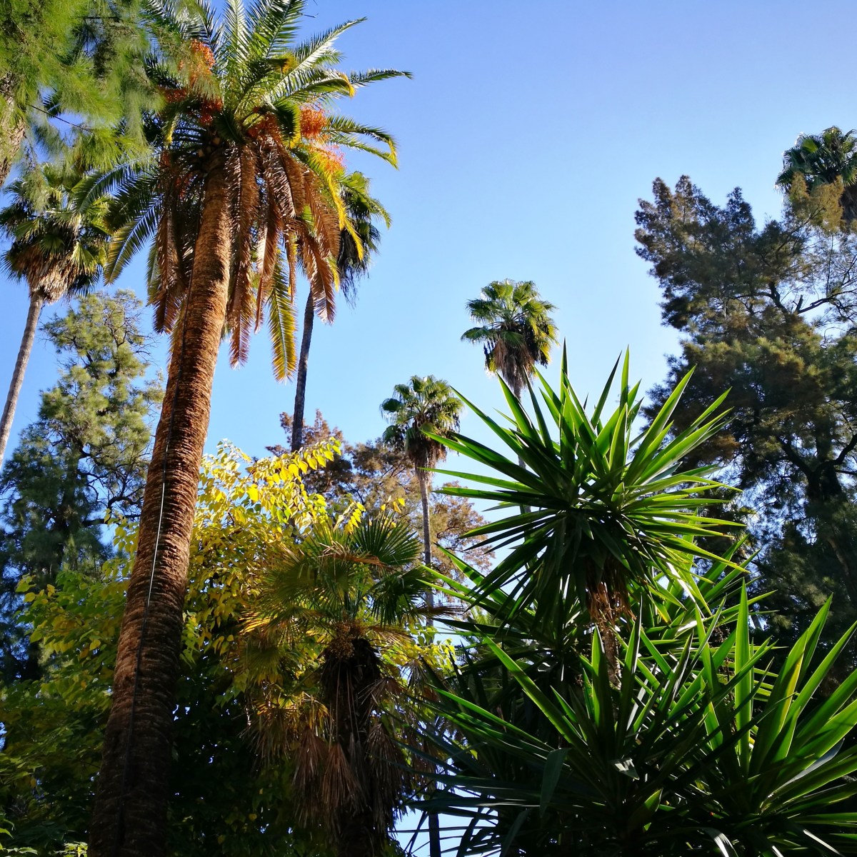 Les bons plans de Séville – Stefayako