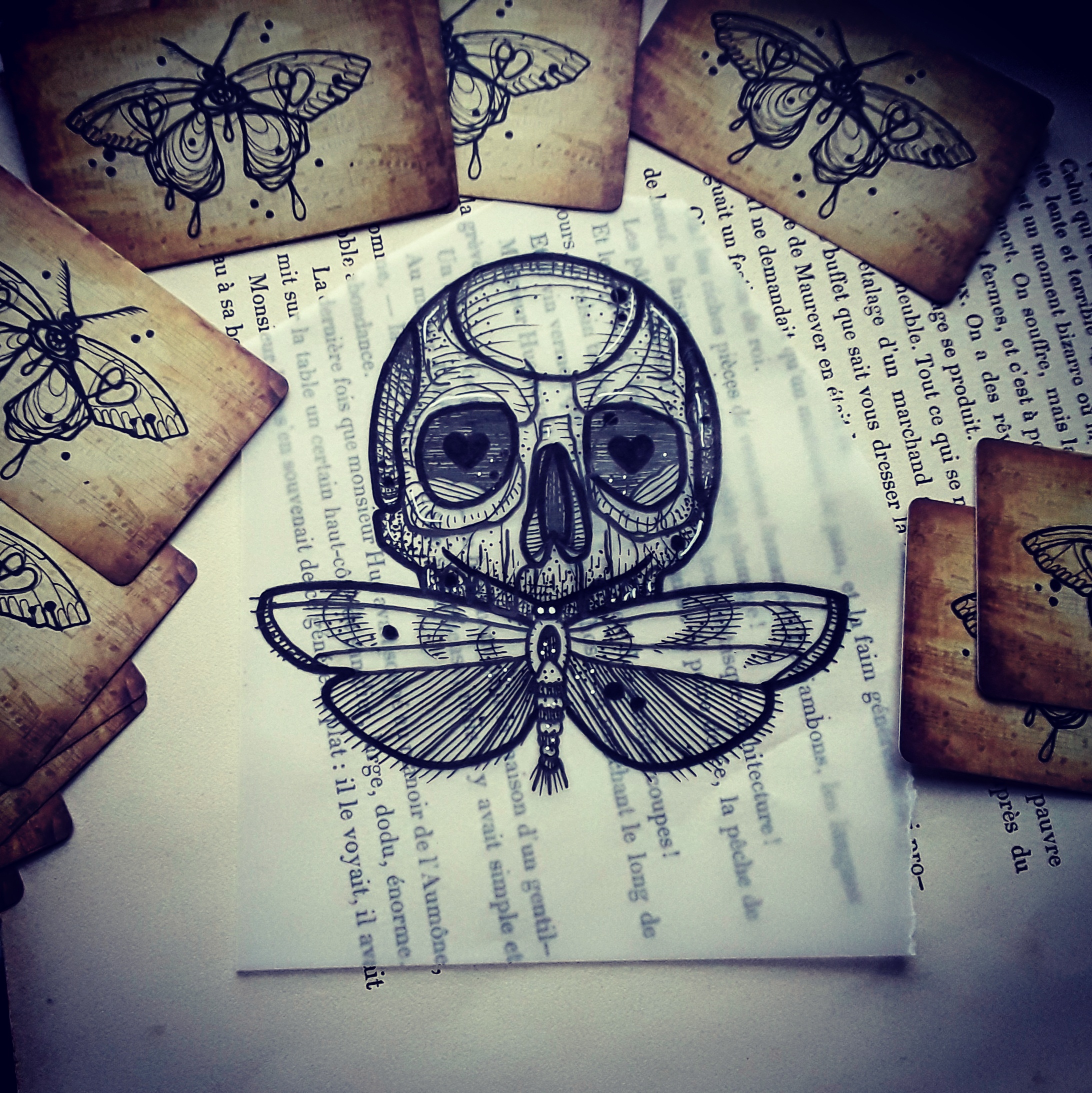 Cranee – Stefayako