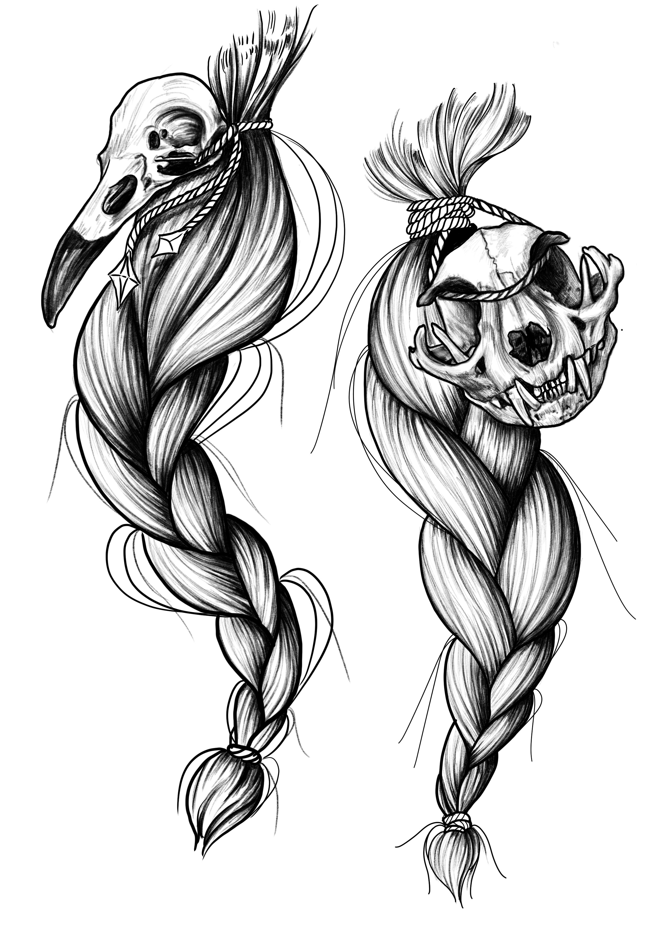 Derrière le dermographe de Clarisse Amour – Stefayako