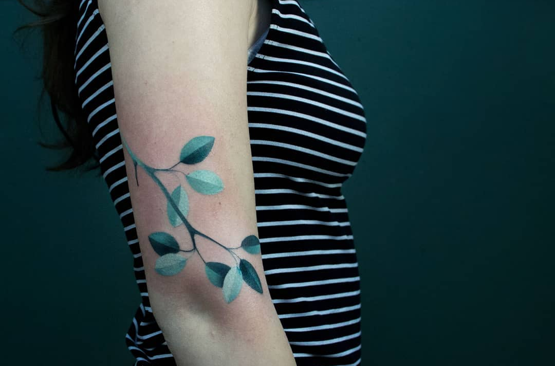 dasha1 – Stefayako